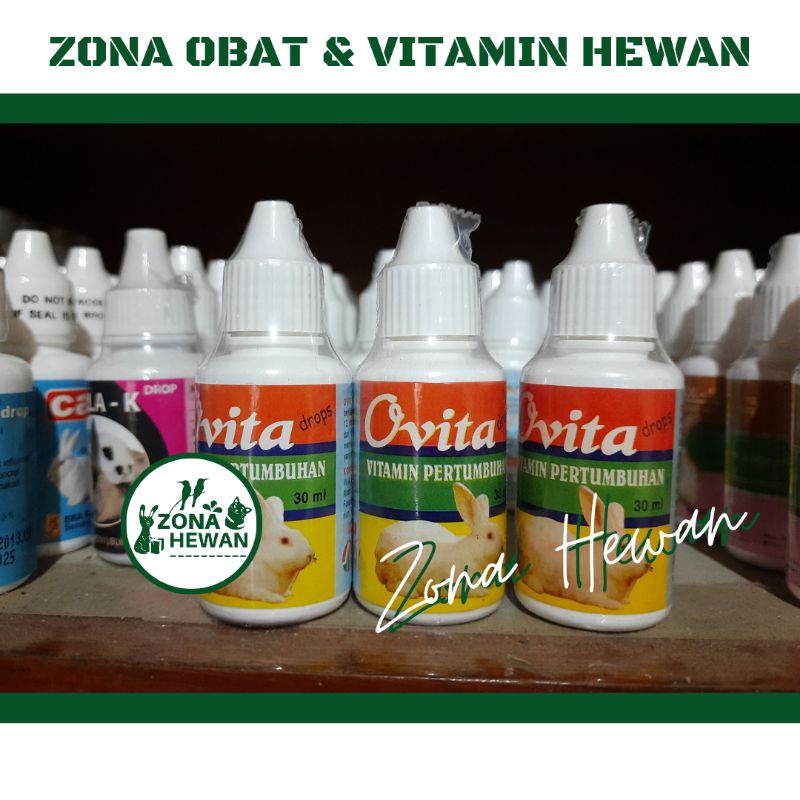 Jual Ovita Drop Vitamin Kelinci / Vitamin Pertumbuhan Kelinci | Shopee ...