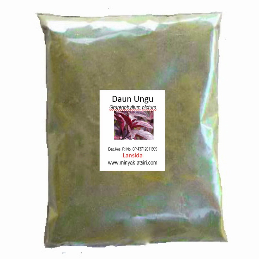Jual Bubuk Daun Ungu 250 g Serbuk Graptophyllum pictum Simplisia Wungu ...