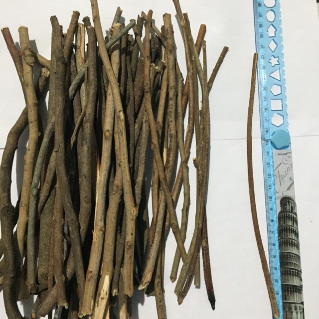 Jual Aksesoris craft ranting kayu 23cm | Shopee Indonesia