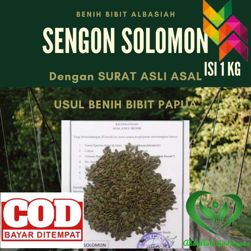 Jual Bibit Benih ALBASIA/SENGON SOLOMON 1Kg | Shopee Indonesia