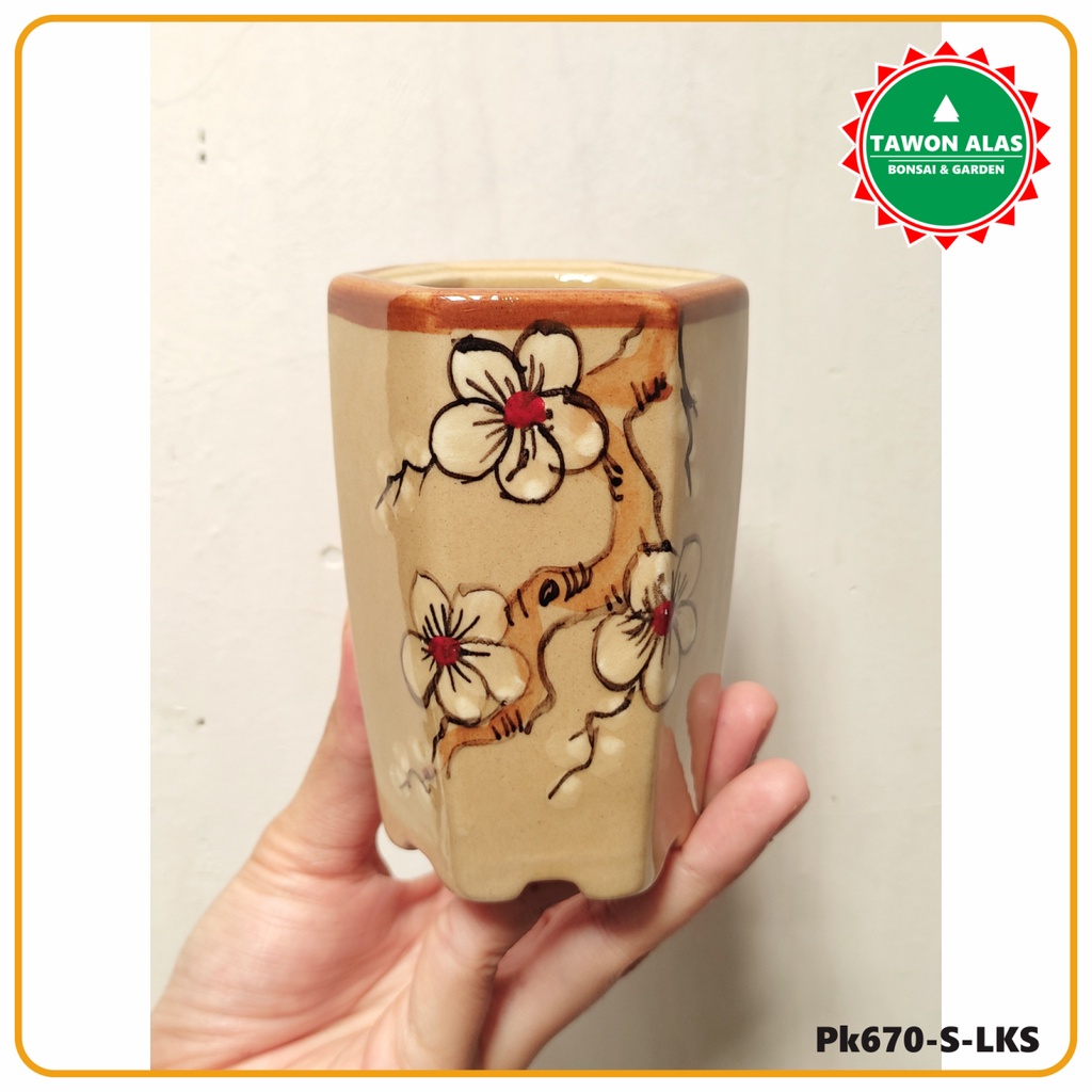 Jual Pot Bonsai Keramik Segi Enam Tinggi | Shopee Indonesia