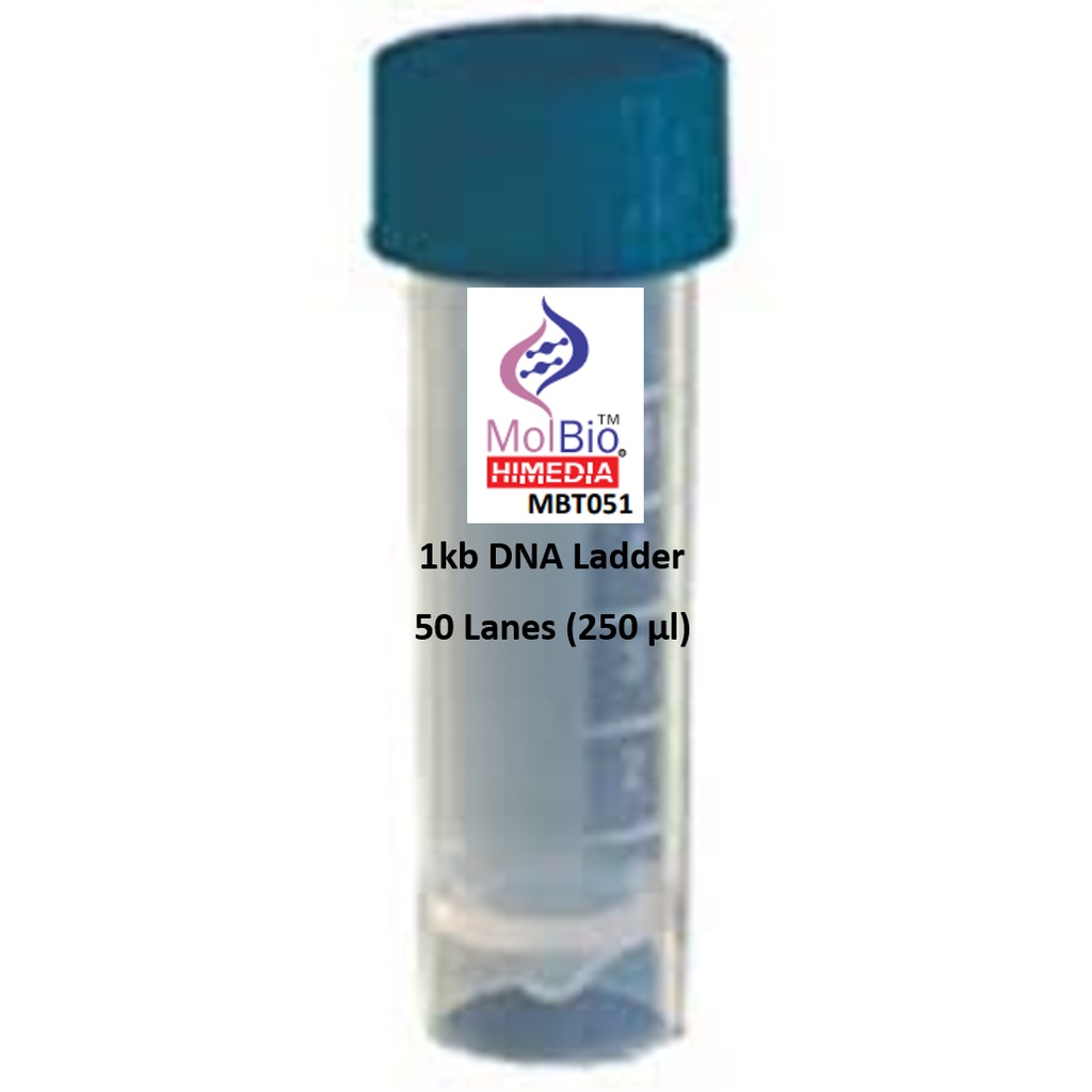 Jual DNA Ladder 1 kB 50 App, DNA Marker, Elektroforesis gel agarosa ...