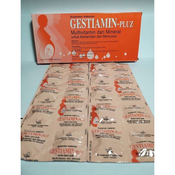 Jual GESTIAMIN PLUZ VITAMIN IBU HAMIL DAN MENYUSUI (Per Blister ...