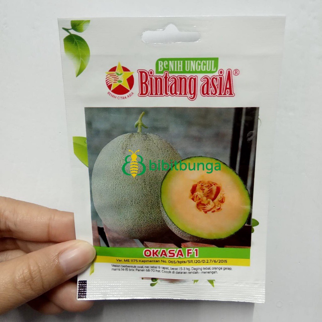 Jual Benih Biji Tanaman Buah Rock Melon Hibrida Murah Okasa F1 Bintang ...