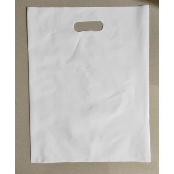 Jual Plastik PE Plong 25x35 PREMIUM 0.5 Micron Isi 100 | Shopee Indonesia