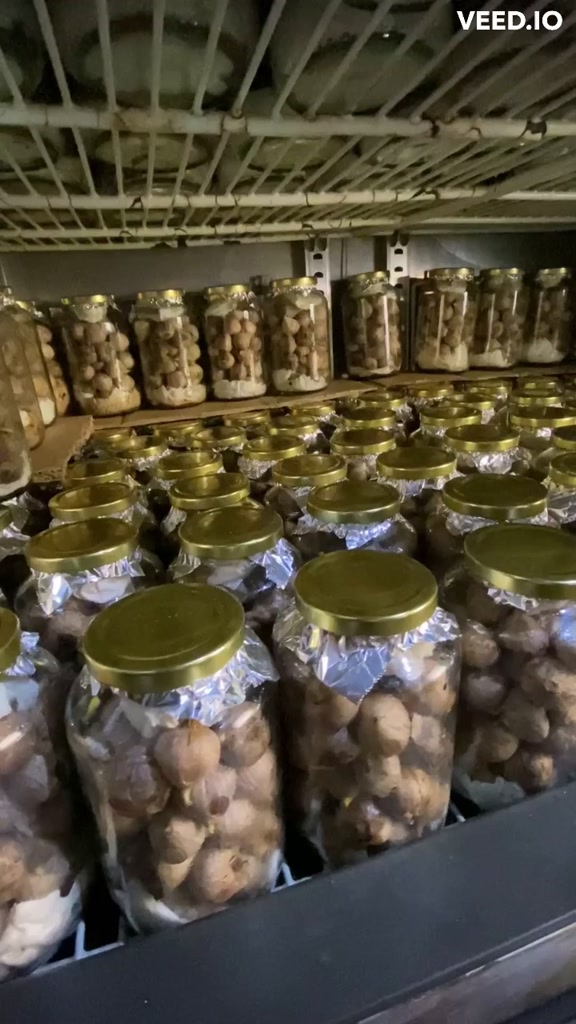 Jual Alamme Black Garlic Bawang Hitam Tunggal Premium Alamme 100 Gram ...