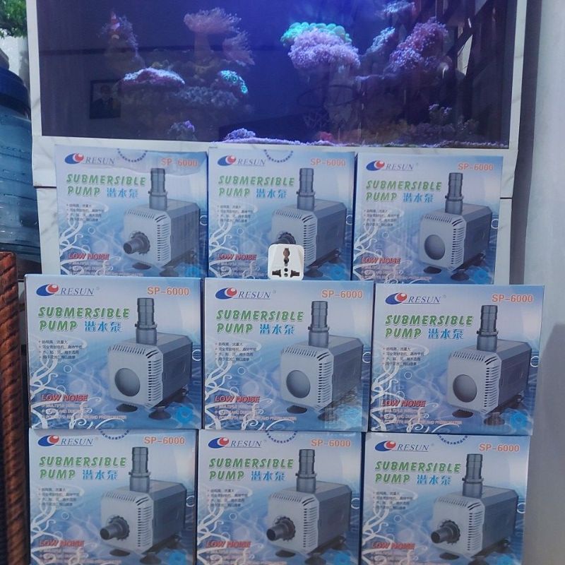 Jual pompa resun sp 6000 + colokan ke indo | Shopee Indonesia