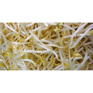 Jual Toge Lokal | Shopee Indonesia