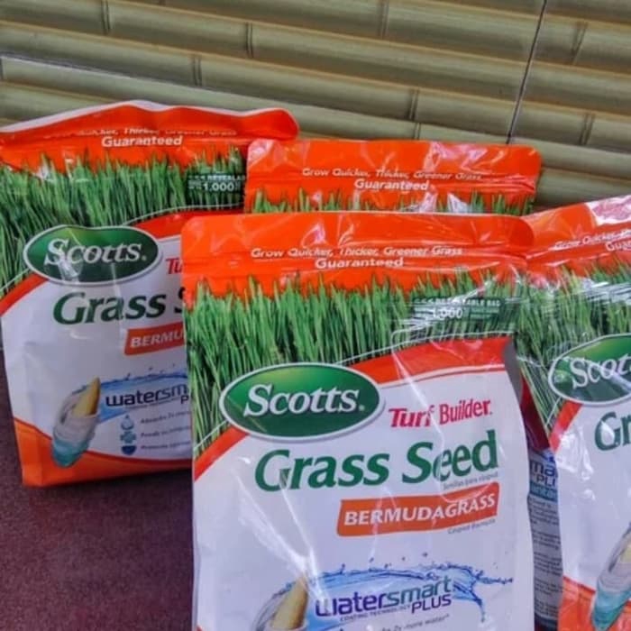 Jual Biji Rumput Bermuda Grass 1kg/Biji Rumput golf swiss jepang 1kg ...