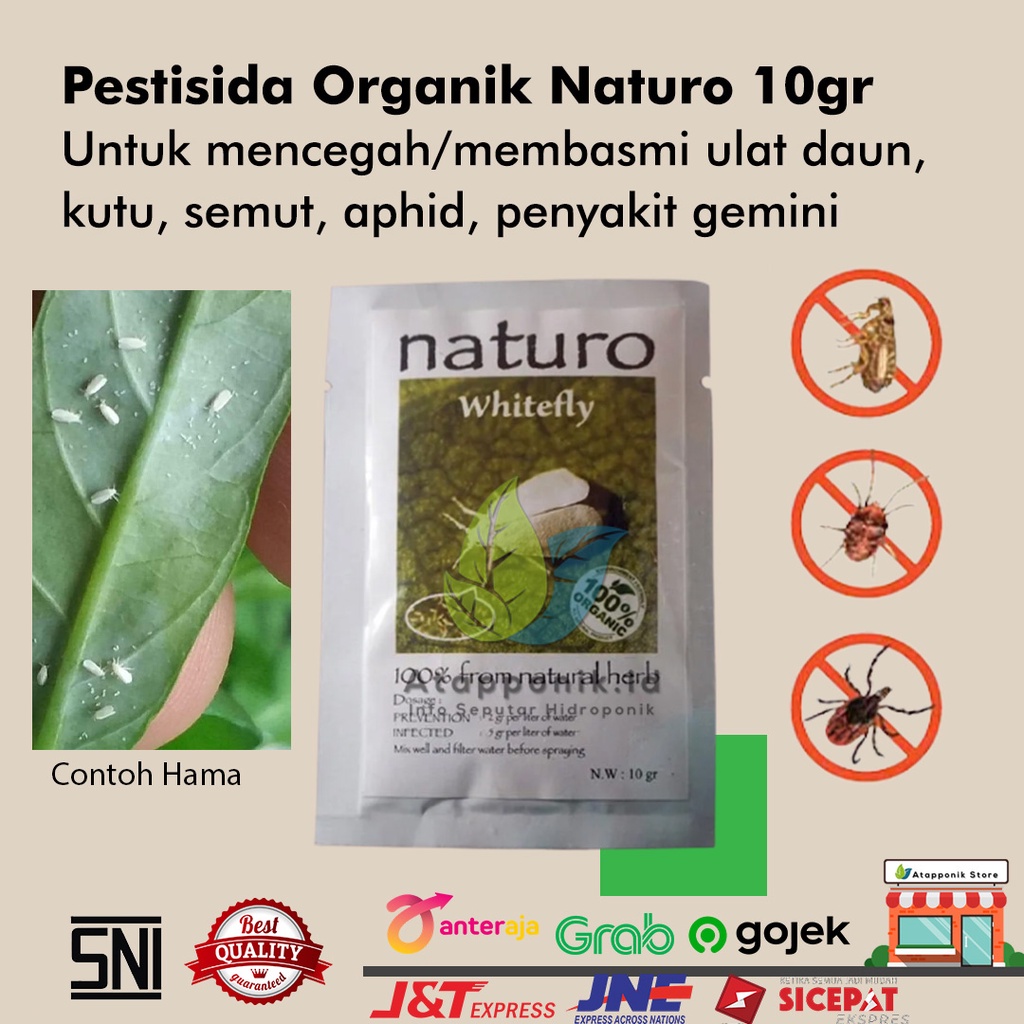 Jual Naturo Whitefly Asli Pembasmi Kutu Kebul - Kutu Putih - Hama Aphid ...