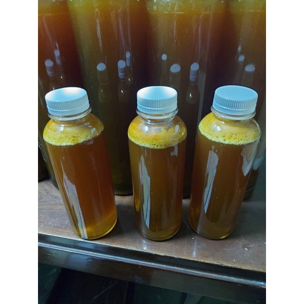 Jual Madu Hutan Pohon asli NTT 320 Gram | Shopee Indonesia