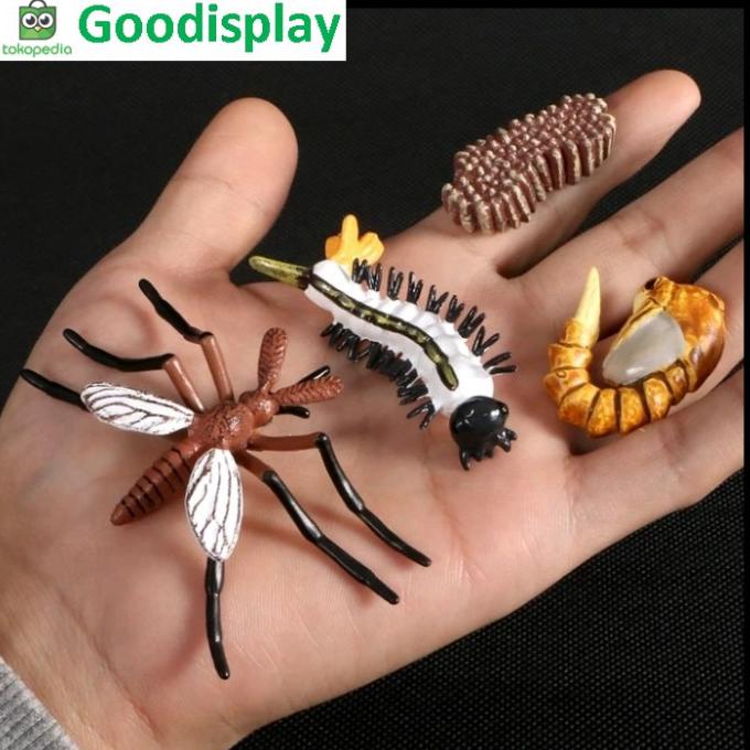 Jual aneka mainan edukasi siklus hidup hewan animal life cycle - Nyamuk ...