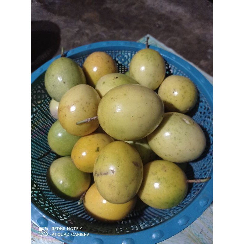 Jual Markisa matang segar-markisa buah segar- 1 kg | Shopee Indonesia