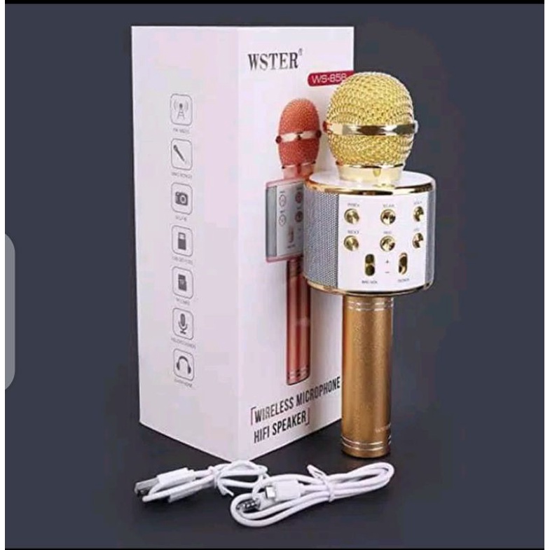 Jual WSTER Original /ASLI wireless Microphone | Shopee Indonesia