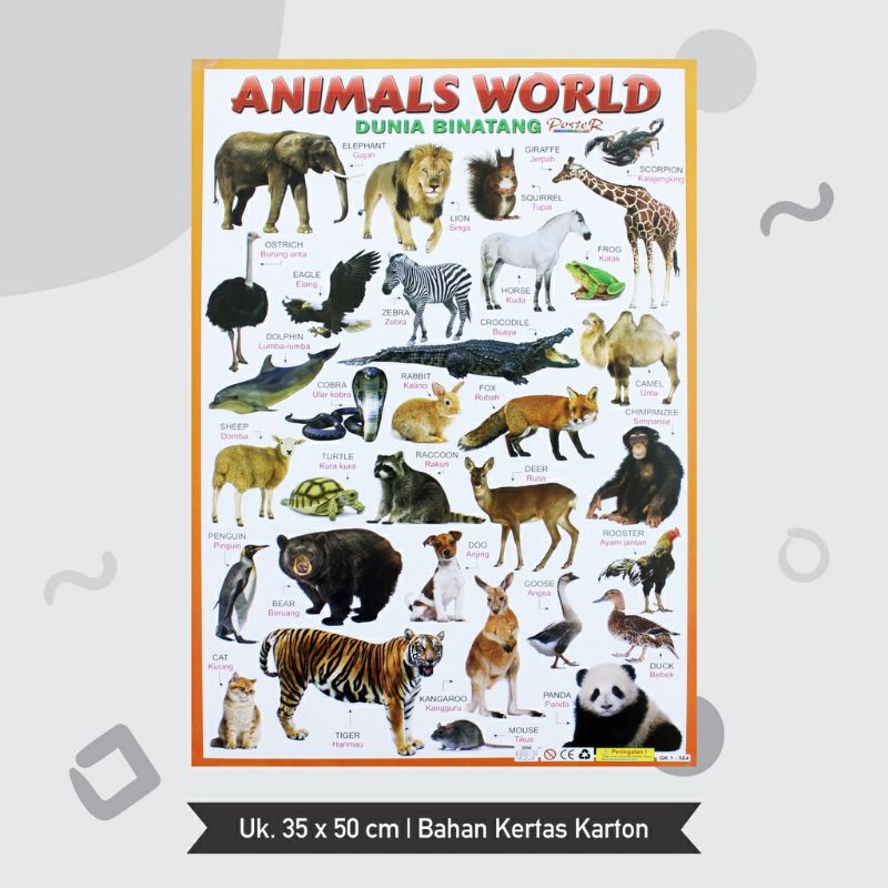 Jual poster/tempelan edukasi anak gambar hewan/poster anak gambar hewan ...