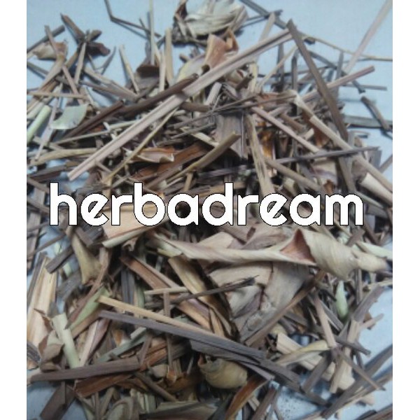 Jual 1 KG SEREH SERE SERAI CYMBOPOGON CITRATUS LEMON GRASS XIANG MAO ...