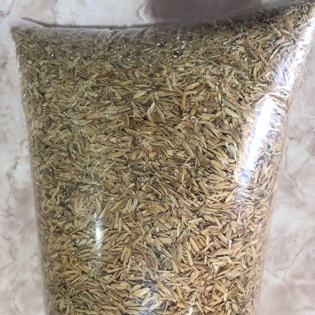 Jual KULIT PADI ( SEKAM) | Shopee Indonesia