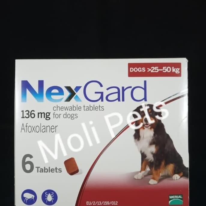 Jual NEXGARD OBAT KUTU ANJING SIZE XL (25-50KG) | Shopee Indonesia
