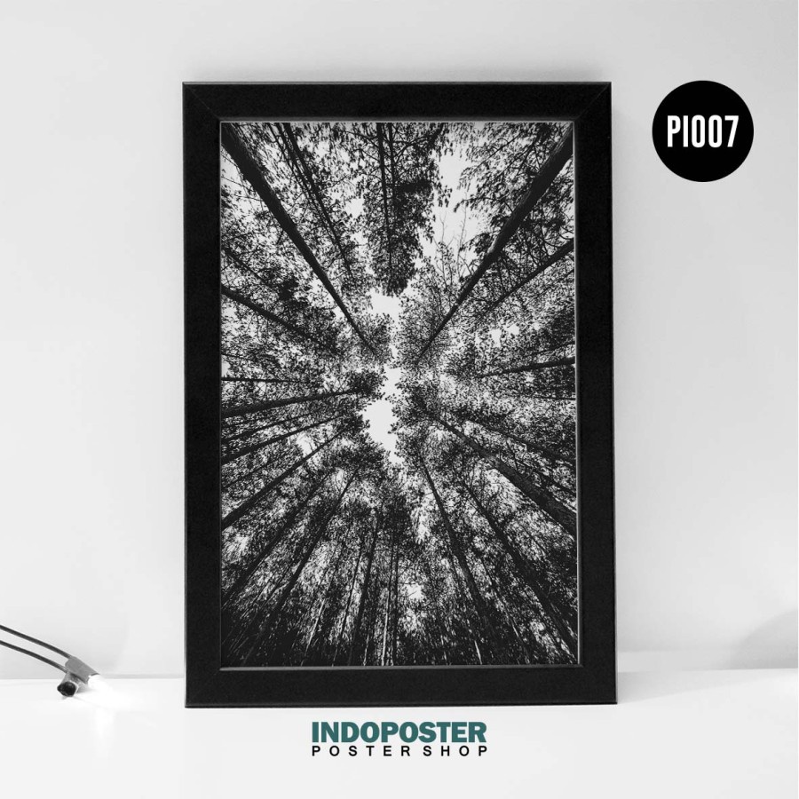 Jual Poster Hutan Forest Under The Tree Monochrome Scandinavian A3 ...