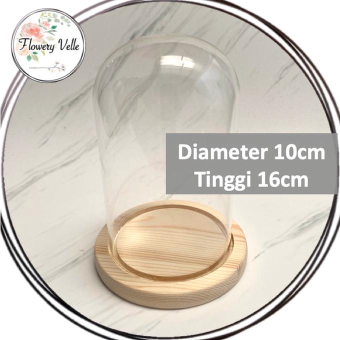 Jual Glass Dome Besar Kubah Kaca Kosong Glassbox Container Display Box ...