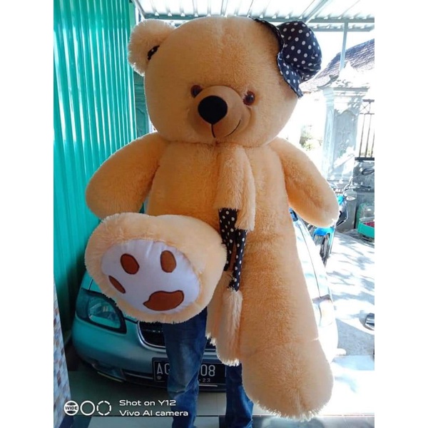 Jual Boneka jumbo tedy bear jojon murah lucu / Boneka Teddy Bear Syall ...