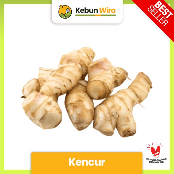 Jual Kencur | Laser Ginger 1kg | Shopee Indonesia