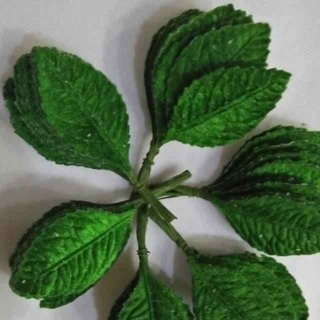 Jual Daun Mawar Daun Bludru Daun Imitasi per lusin Daun Cabang | Shopee ...