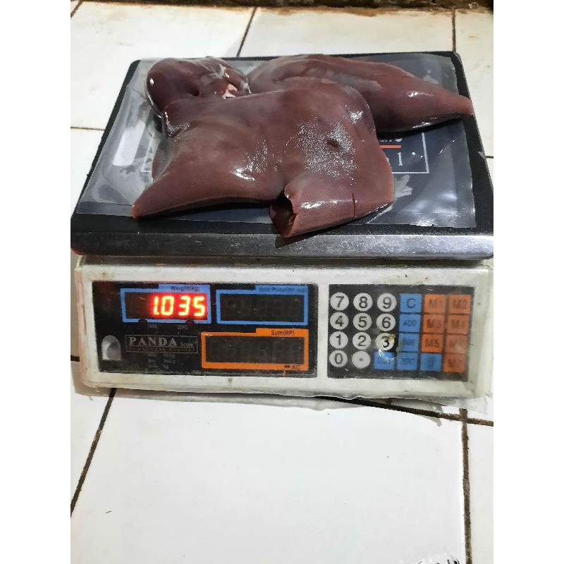 Jual HATI BABI (SATUAN) | Shopee Indonesia