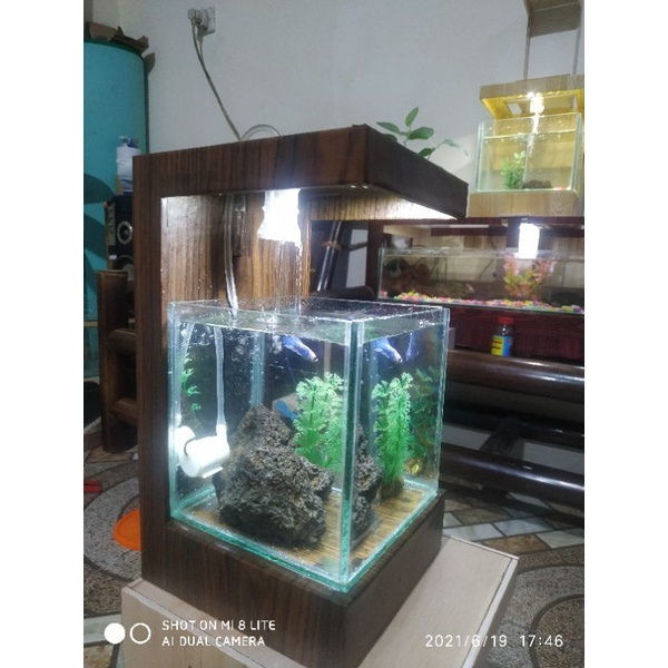 Jual akuarium minimalis display kabinet mewah harga murah akurium ikan ...