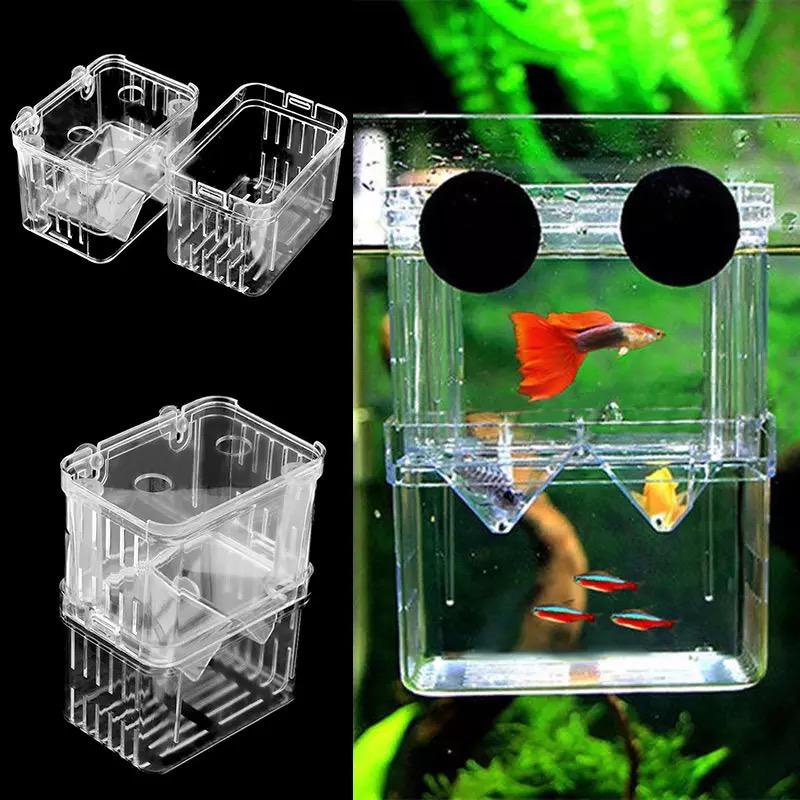 Jual Breeding Box Isolation Incubation Box Kotak Karantina Ikan Guppy ...