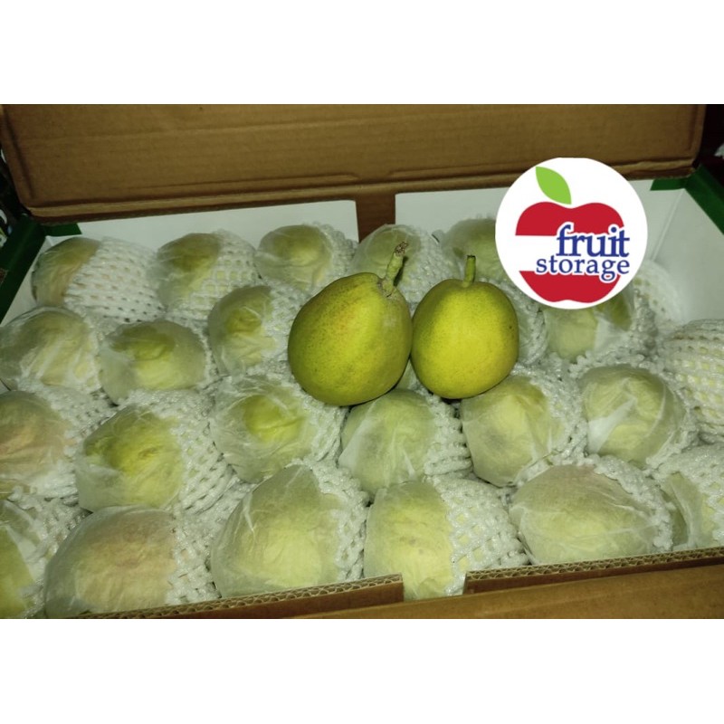 Jual Pear Xiang Lie 1kg buah Xiangli siangli siang li lie xianglie ...