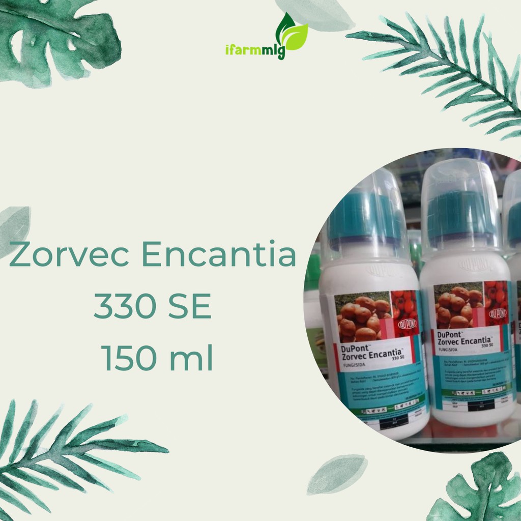 Jual Zorvec Encantia 330 SE Solusi Terbaik untuk tanaman Kentang ...