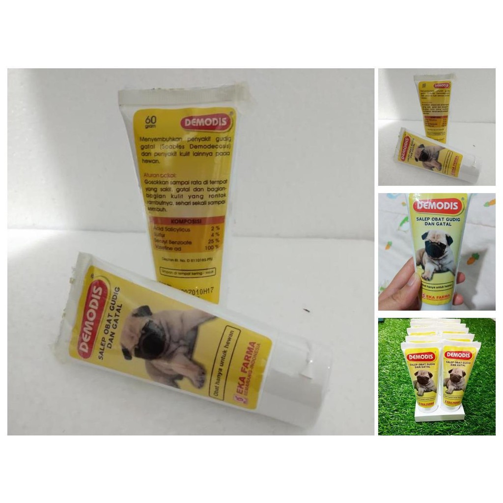 Jual obat jamur kucing anjing salep scabies demodex kelinci demodis 60 ...
