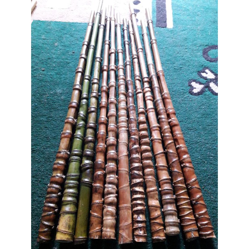 Jual bambu cendani | Shopee Indonesia