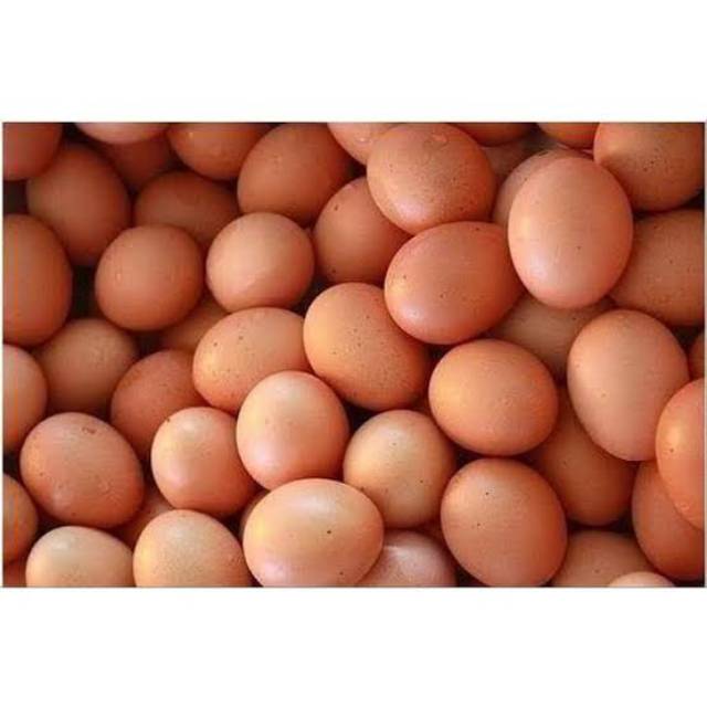 Jual TELUR AYAM / TELOR AYAM 1 PACK ISI 10 (Baca Deskripsi) | Shopee ...
