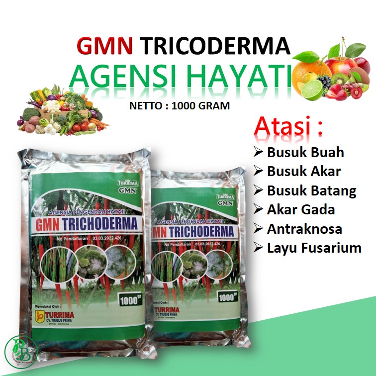 Jual Obat Trichoderma unTuk cabe, Pupuk Fungisida Hayati Cegah Layu ...