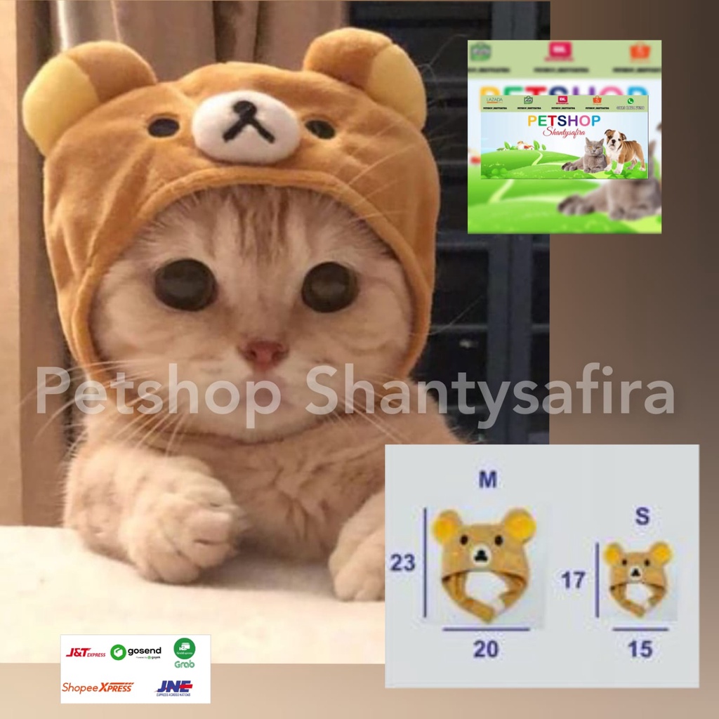 Jual TOPI KUCING BENTUK KARAKTER BINATANG | Shopee Indonesia