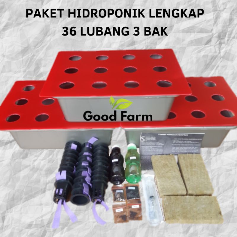 Jual PAKET HIDROPONIK 36 LUBANG 3 BAK | SET HIDROPONIK | HIDROPONIK ...