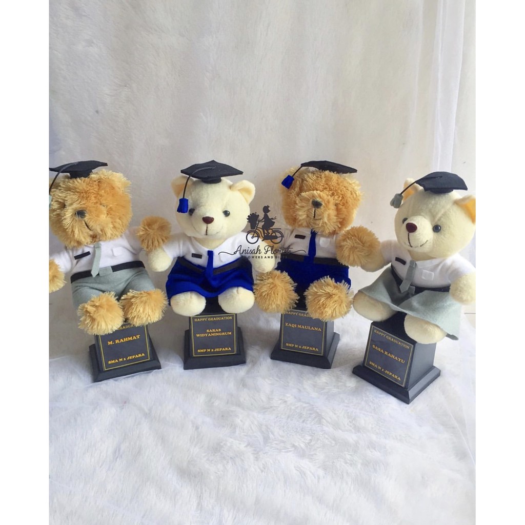 Jual Piala Boneka Wisuda | Piala Boneka Profesi | Piala Boneka ...
