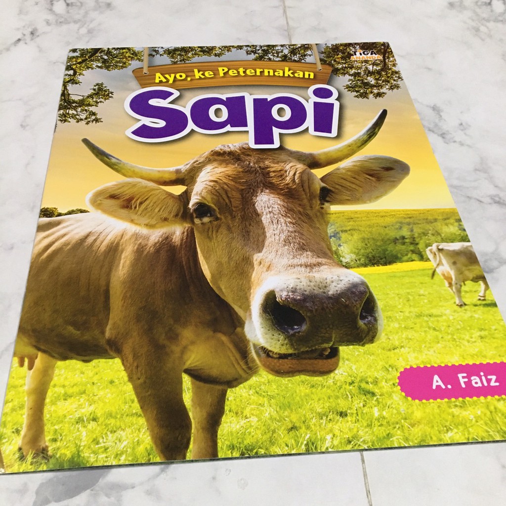 Jual Ayo ke pertenakan sapi / buku aktivitas anak belajar tentang sapi ...