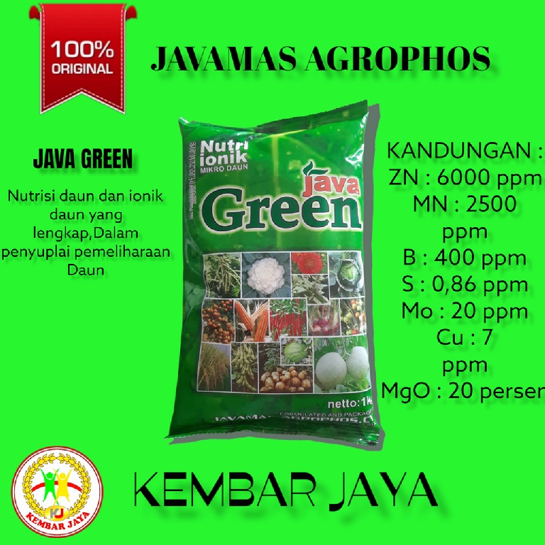Jual Java green mikro daun 1 kg | Shopee Indonesia