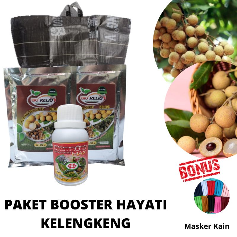 Jual Paket Budidaya Kelengkeng 800gr,Meningkatkan kemampuan tanaman ...
