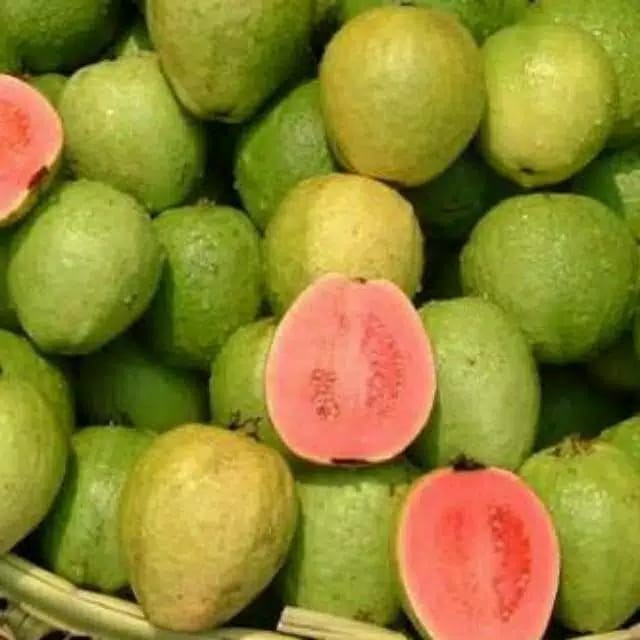 Jual Jambu Merah / Jambu biji / Buah segar | Shopee Indonesia