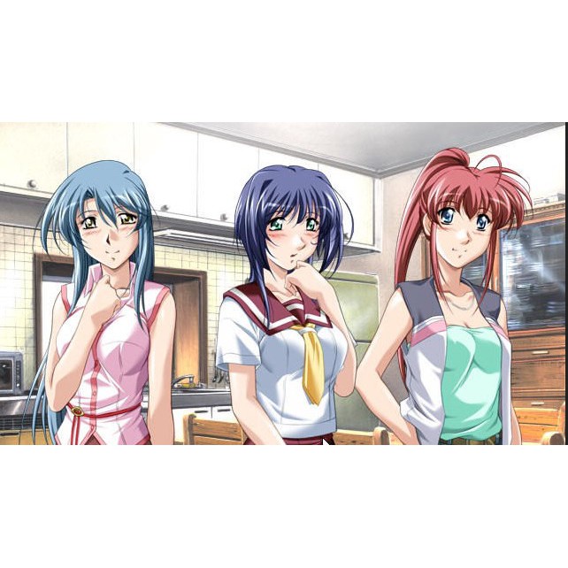 Jual The Sagara Family [VISUAL NOVEL VN] | Shopee Indonesia