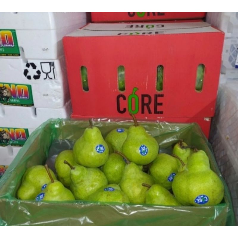 Jual Buah Pear Packham Import/ pir hijau 1 Dus | Shopee Indonesia