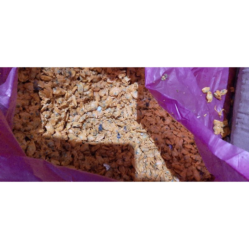 Jual ikan asin remis | Shopee Indonesia