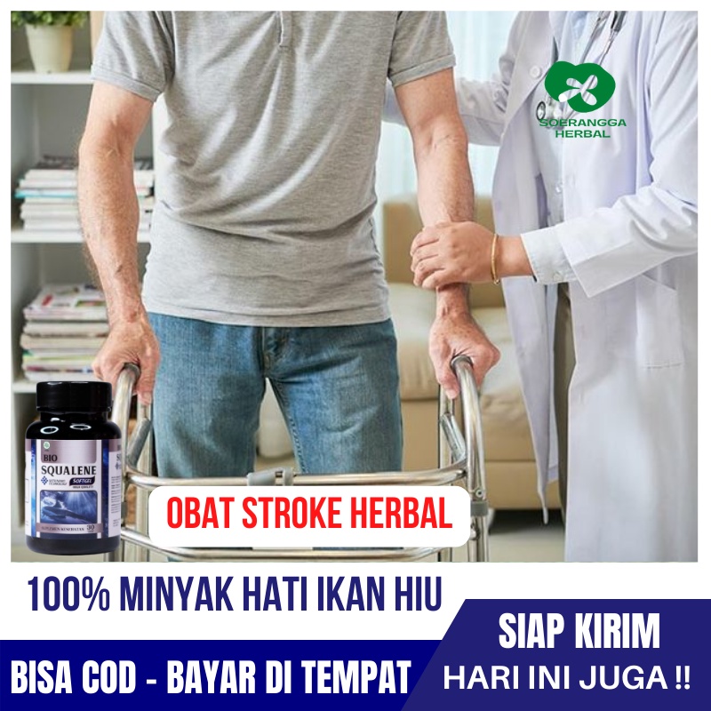 Jual Obat Stroke, Herbal Stroke / Struk, Obat Stroke Ringan, Stroke ... Jual Obat Stroke, Herbal Stroke / Struk, Obat Stroke Ringan, Stroke ...