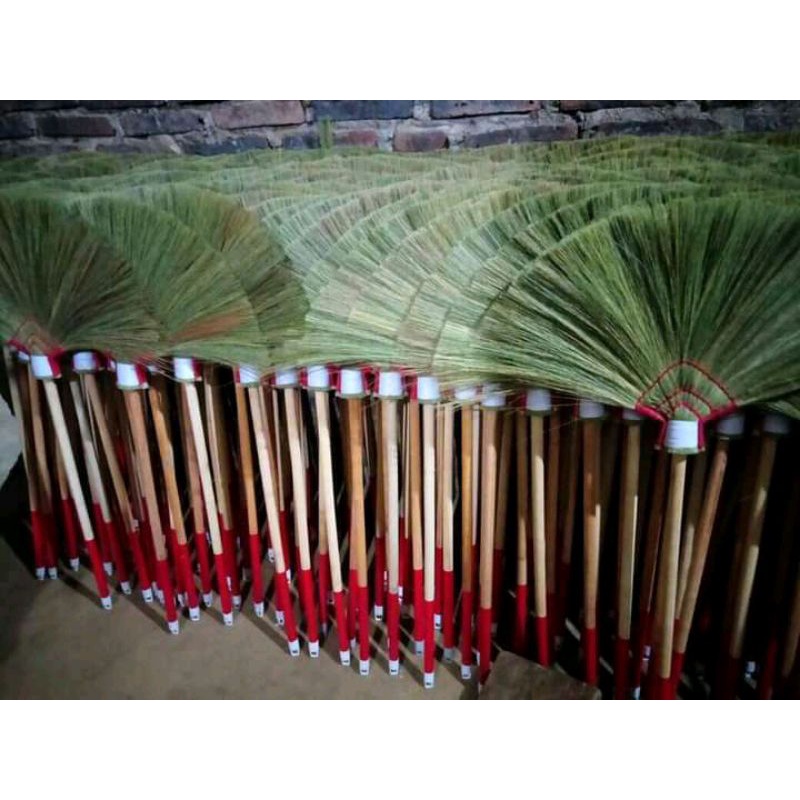 Jual SAPU LANTAI RAYUNG MONCER | Shopee Indonesia