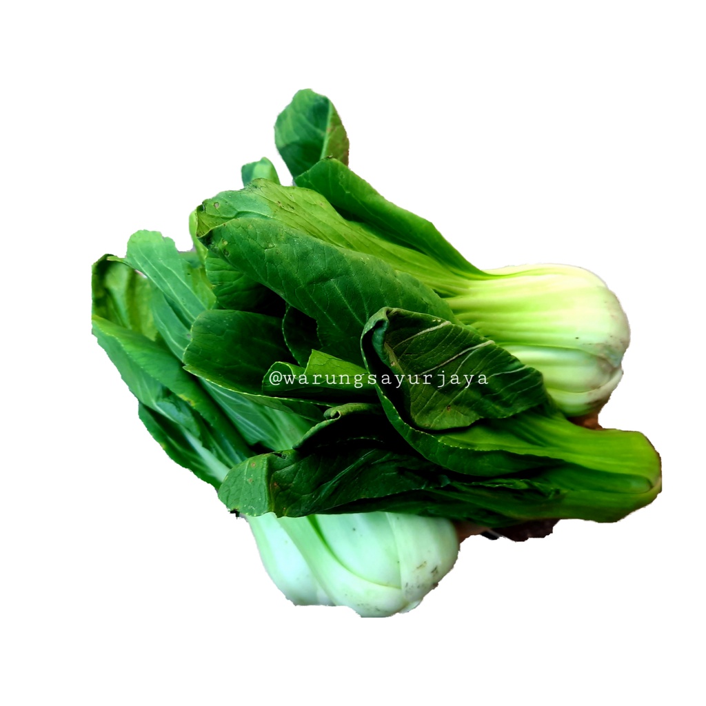 Jual Pokcai / Pakcoy / Sawi Sendok 250 gram | Shopee Indonesia