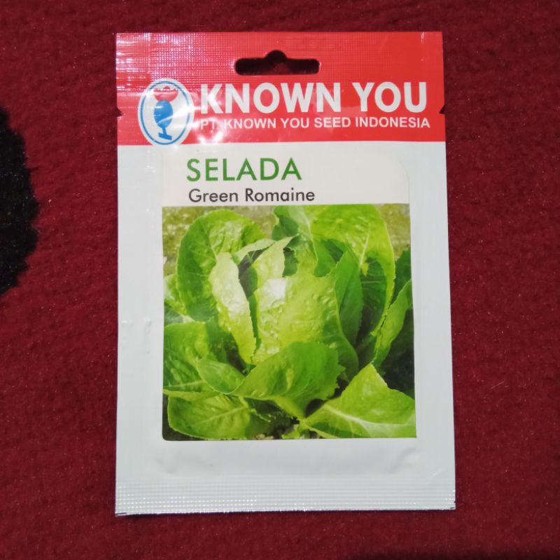 Jual Benih Selada Green Romaine - Known You Seed - Kemasan Repack | Shopee Indonesia